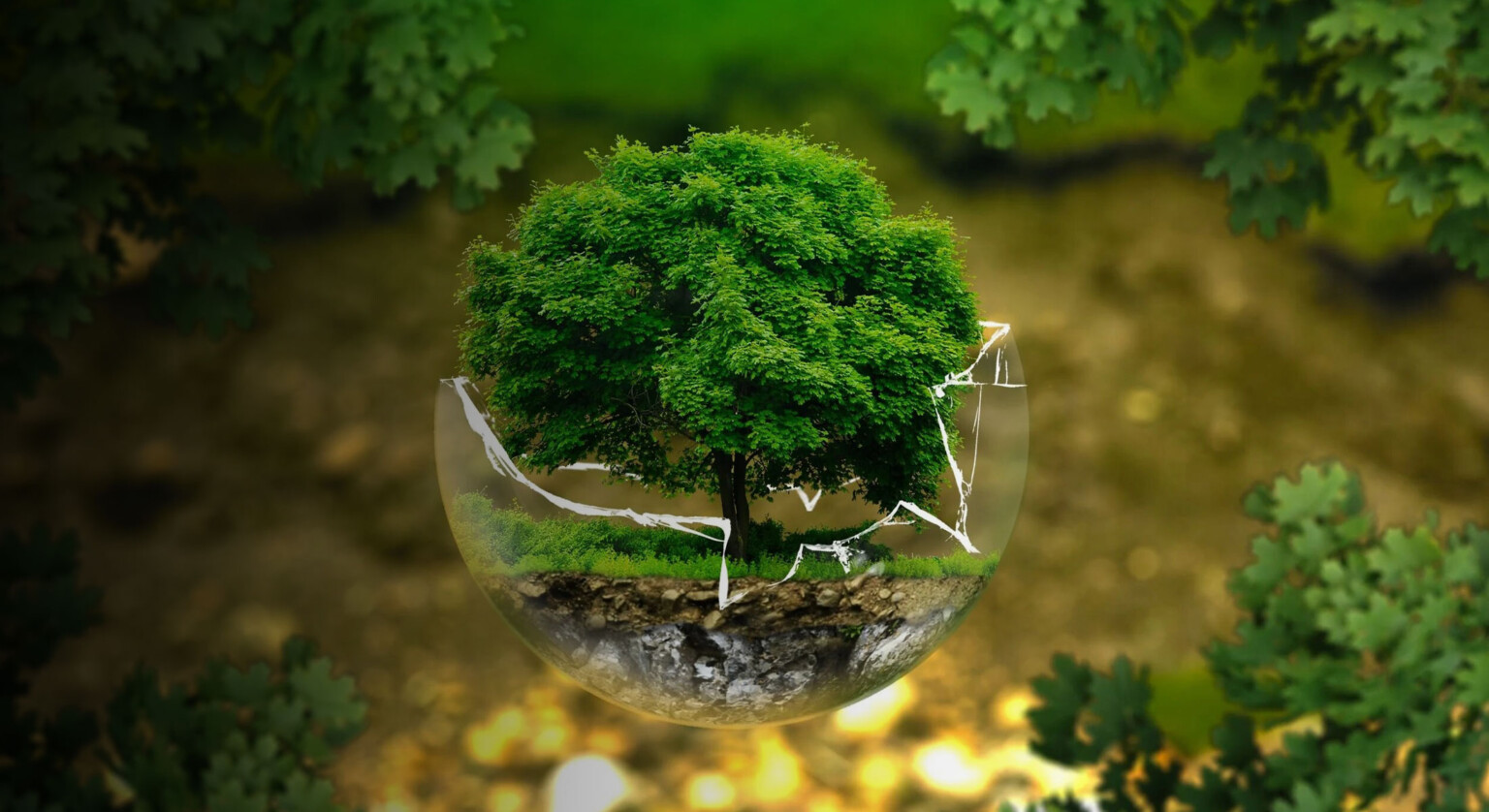 Disinfectant, Sanitizing and Cleaning Solutions Provider- PCT Corp.